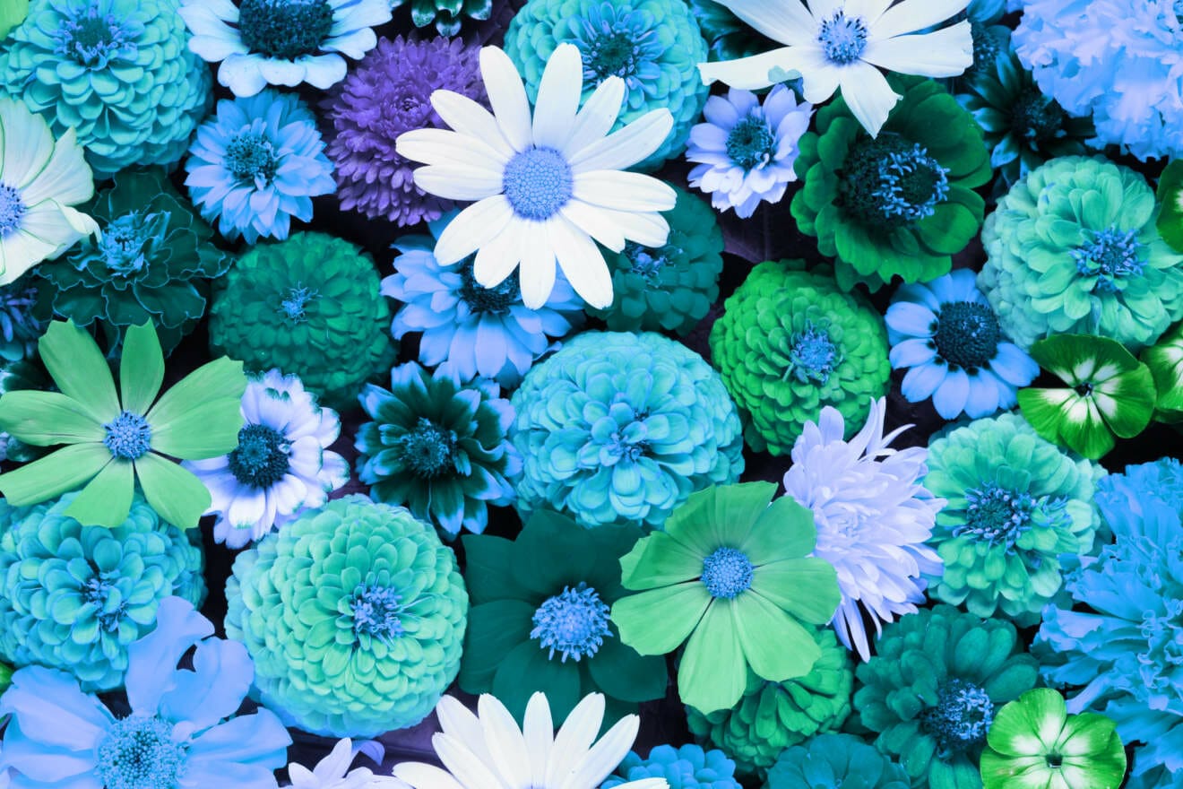 Download These Lightroom Profiles to Easily Invert Your Photos ...