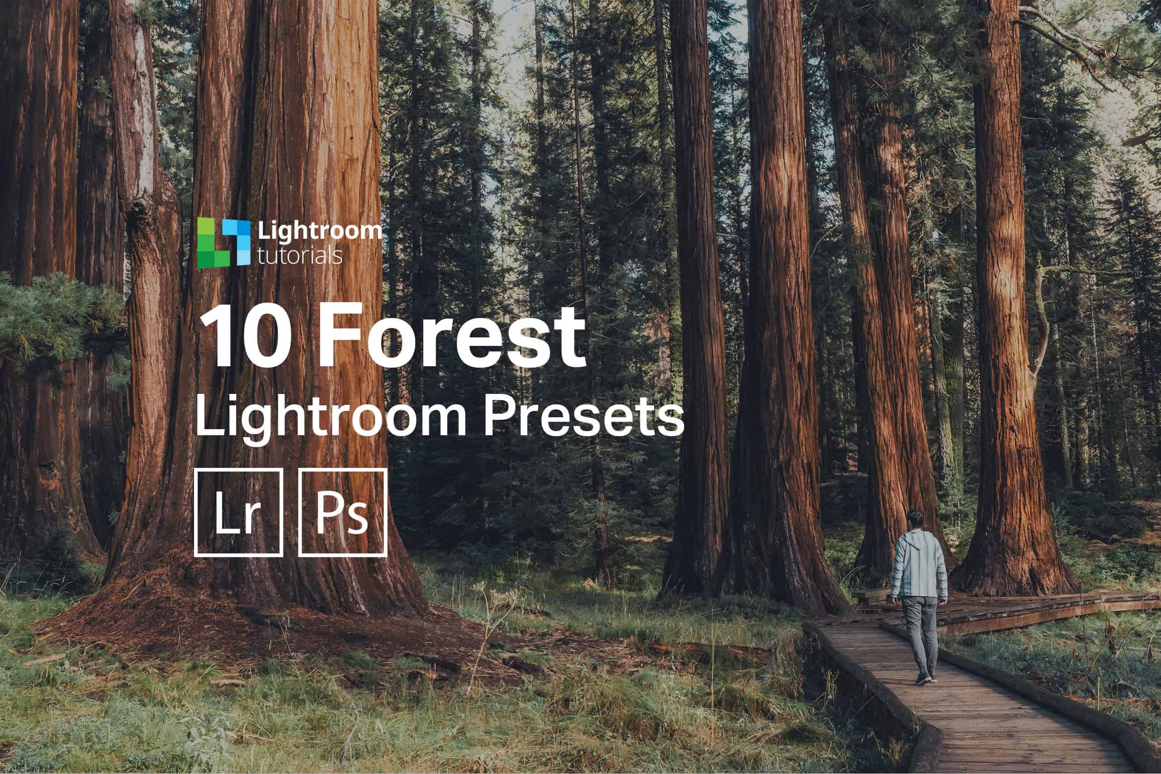 How to Create a Dark and Moody Look in Lightroom | Lightroom Tutorials